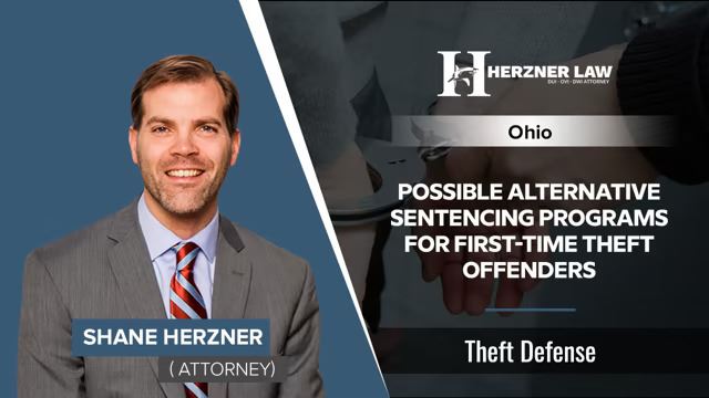 Possible Alternative Sentencing Programs For First-Time Theft Offenders ...